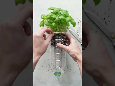 20 DIY Projects With Plastic Bottles - Working the Flame
