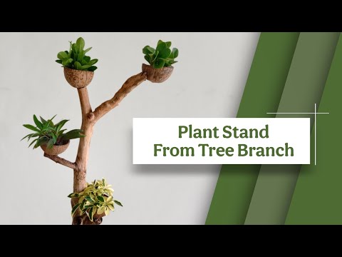 20 DIY Projects With Tree Branches - Working the Flame