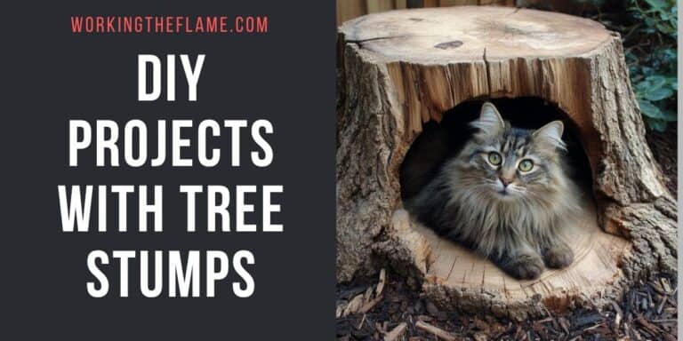 18 DIY Projects With Tree Stumps - Working the Flame